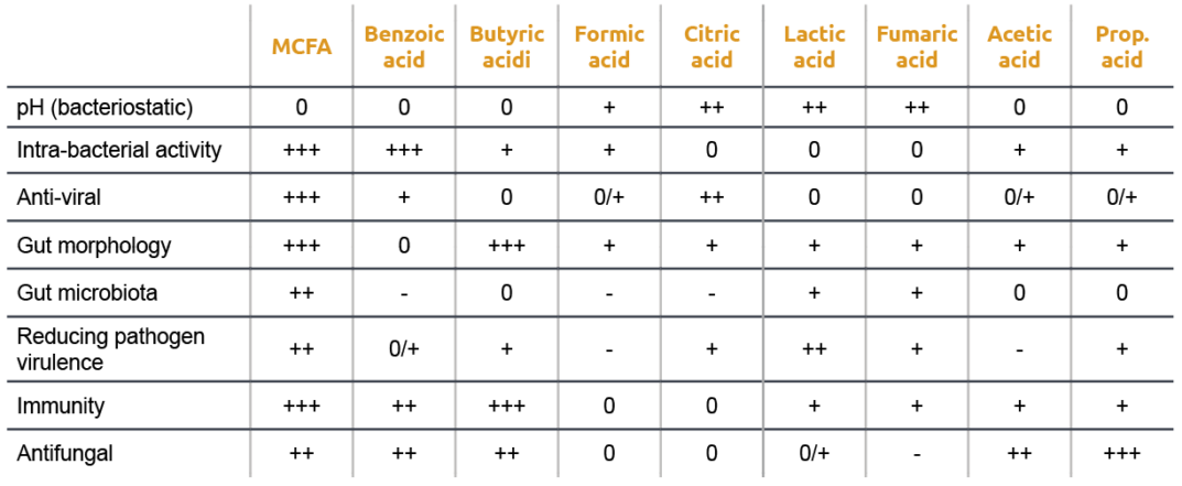 MCFA, versatile acids - Agrimprove - Agrimprove