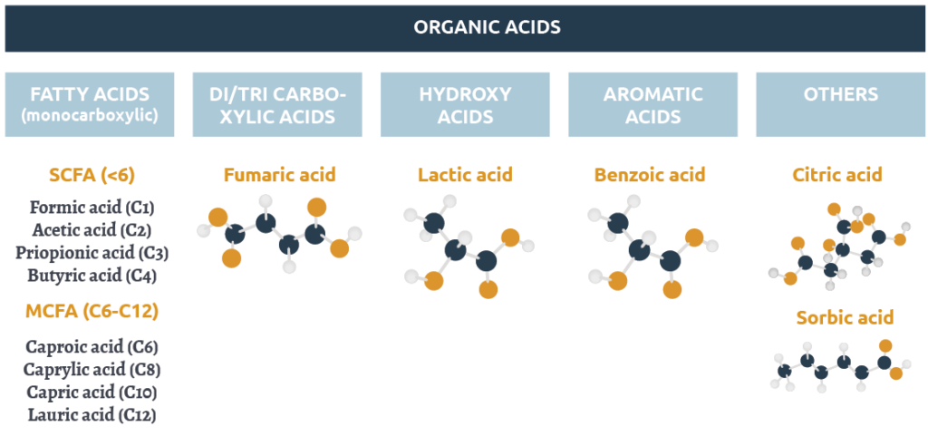 MCFA, versatile acids - Agrimprove - Agrimprove