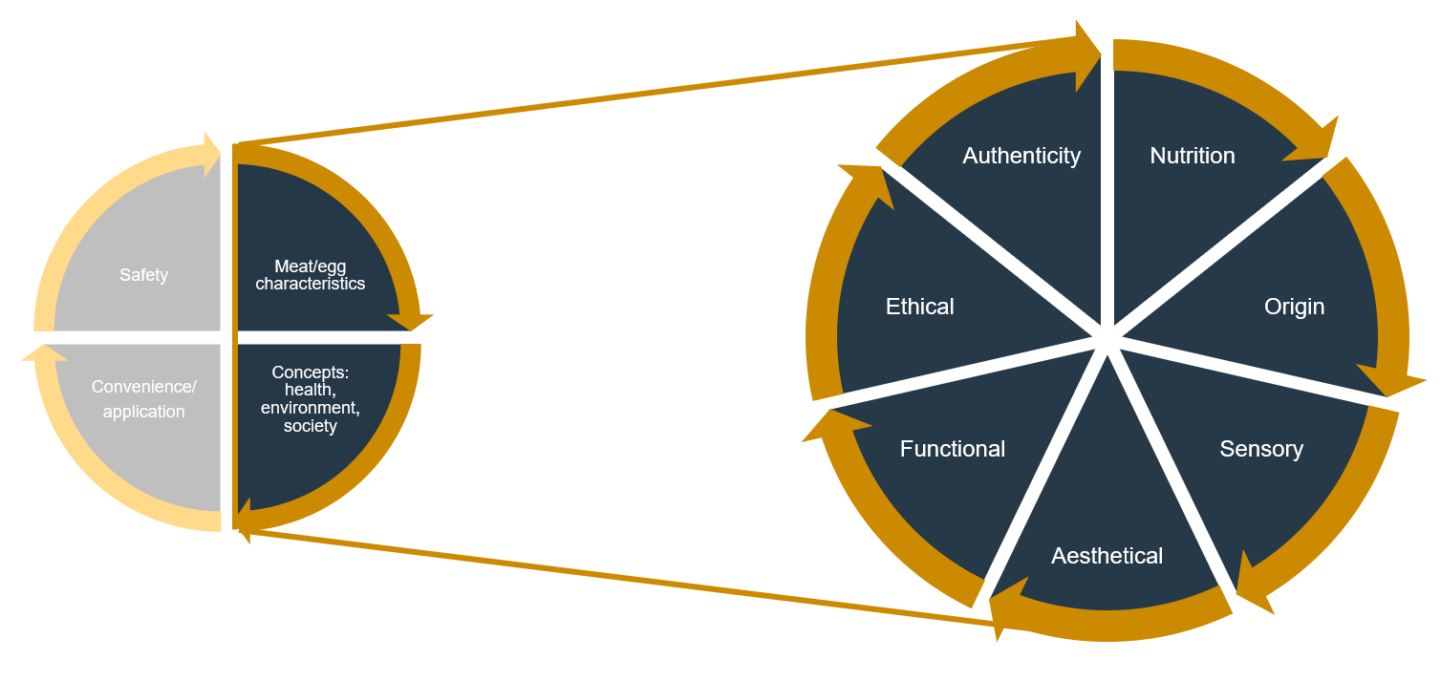 Meat quality is not only a processing issue - Agrimprove - Agrimprove