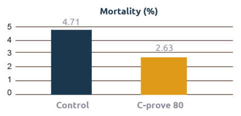 Reducing AMR in poultry via the water - Agrimprove - Agrimprove