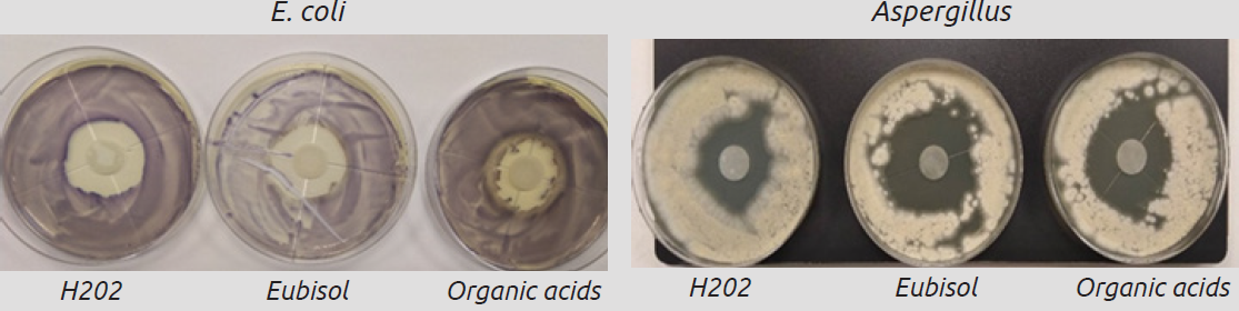 Reducing AMR in poultry via the water - Agrimprove - Agrimprove