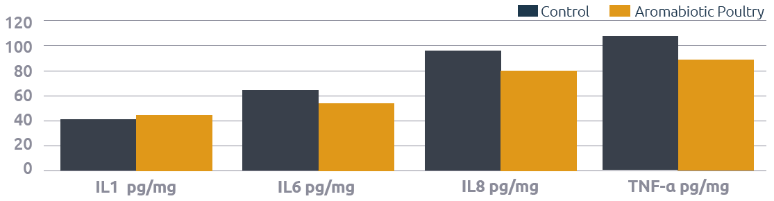 Cost savings by boosting the broiler immune system - Agrimprove ...
