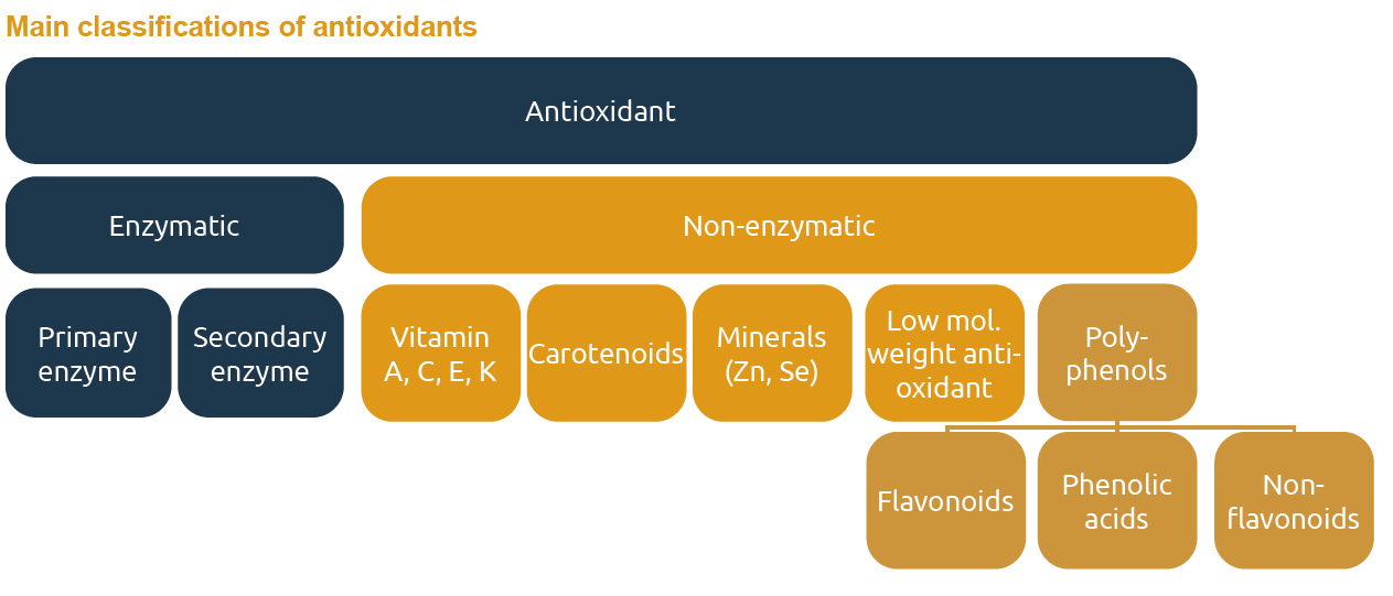 From stress to success, antioxidants support poultry performance ...