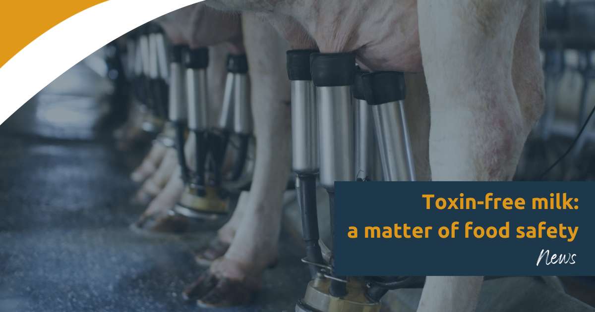 Ensuring Toxin-Free Milk: Key Strategies for Food Safety - Agrimprove