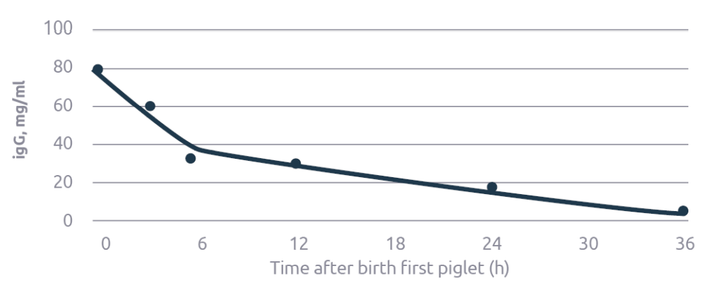 Piglet immunity matters! - Agrimprove - Agrimprove