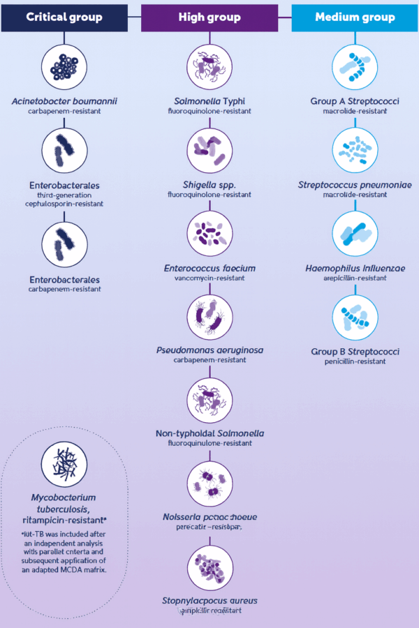 The impact of the poultry industry on human health – antibiotics ...